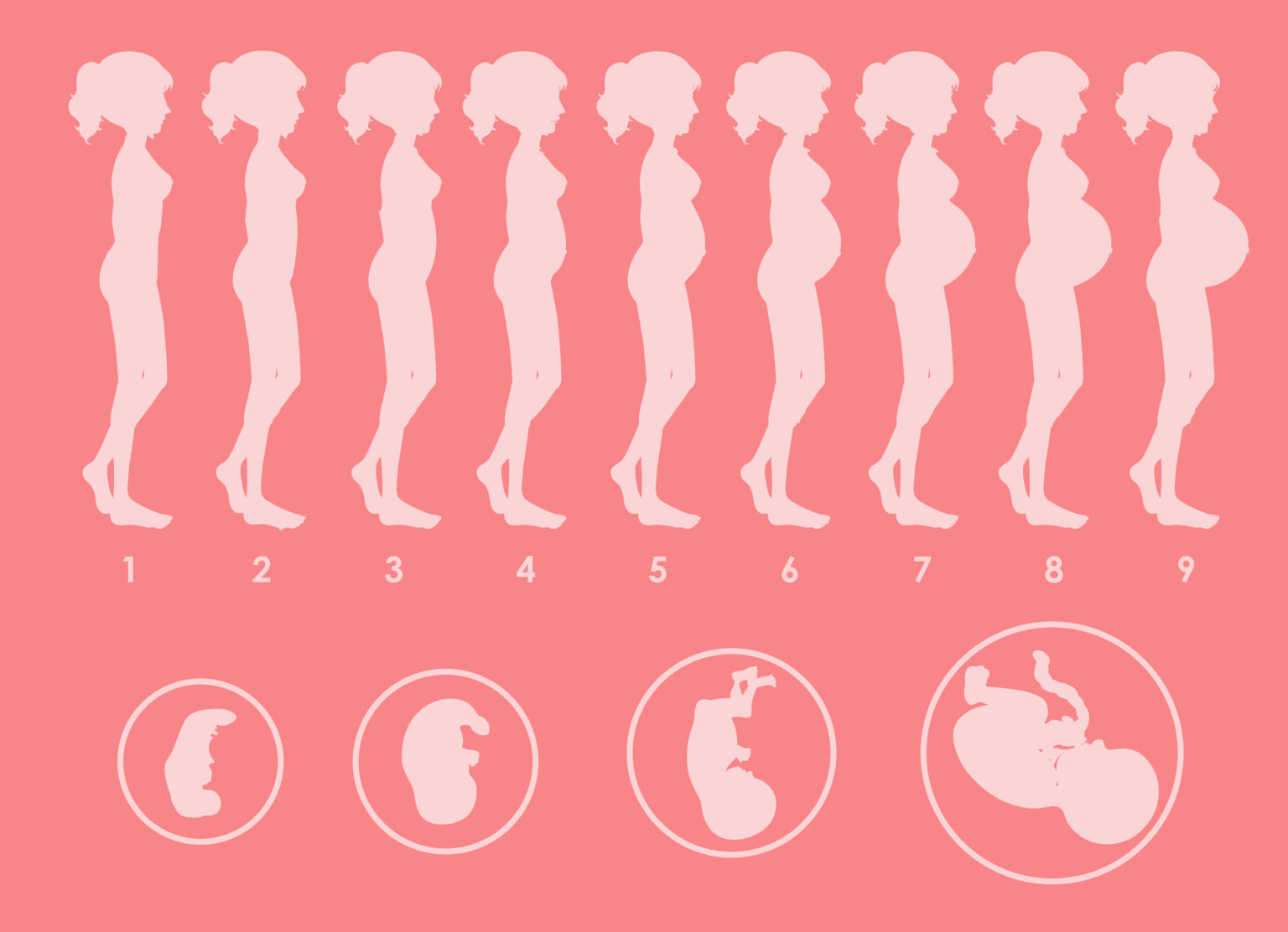 SSW 39 in deiner Schwangerschaft: Die letzten Tage im Mutterleib | mampa